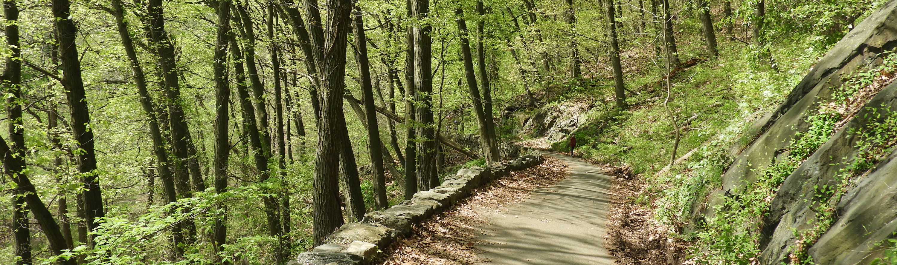 Landscapes and Map – Birds of Inwood