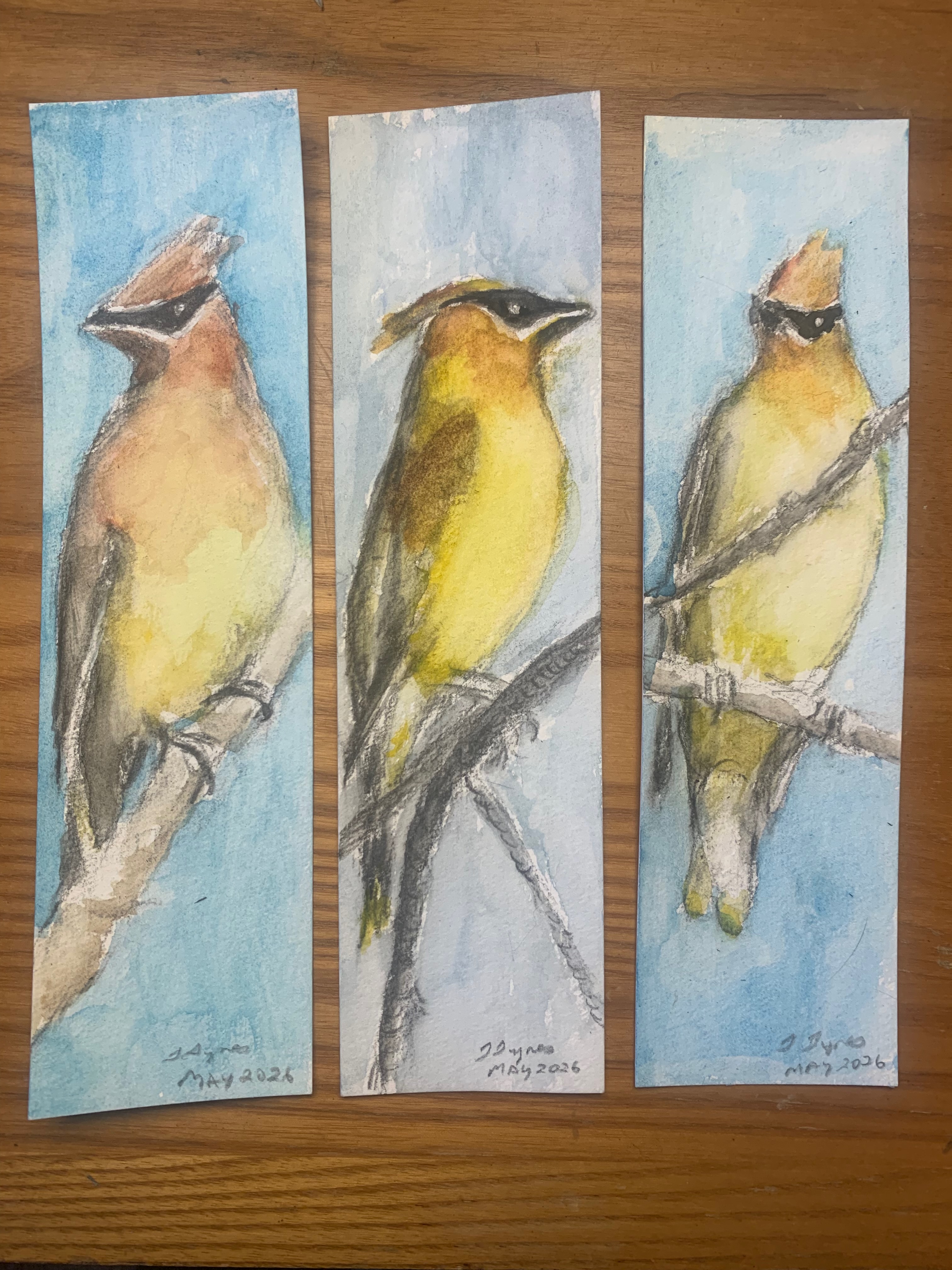 Field Notes from the 2026 Cedar Waxwing Gathering in Isham Park – Birds ...